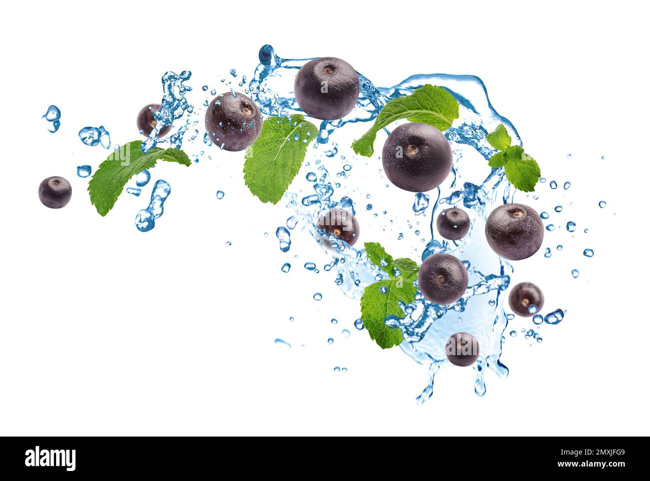 Water splash with acai berries and mint leaves on white background ...