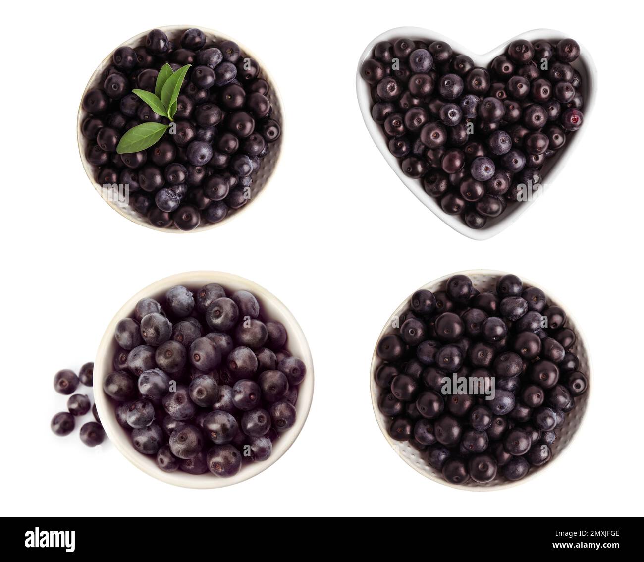 Super tree top view Cut Out Stock Images & Pictures - Alamy