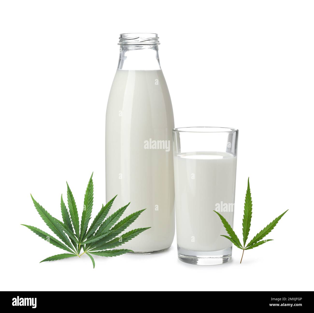 Hemp milk and fresh leaves on white background Stock Photo - Alamy