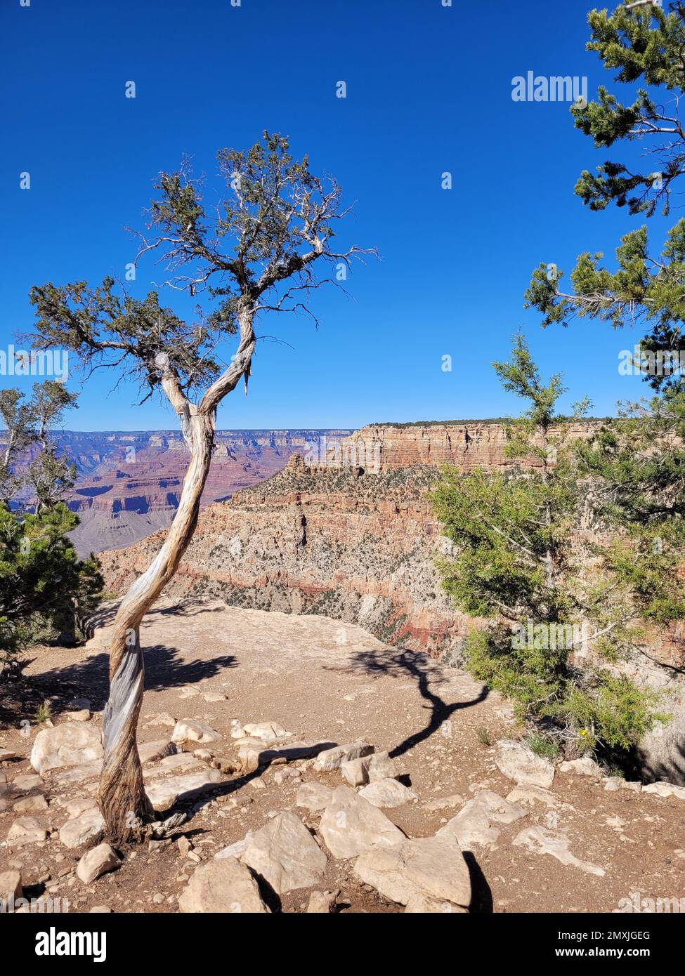 An aerial view of canyon surrounded by growing trees Stock Photo - Alamy