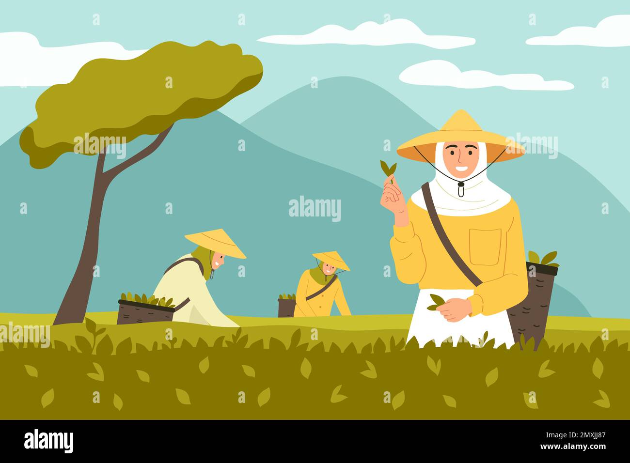 Tea production process concept with traditional harvesting scene flat ...