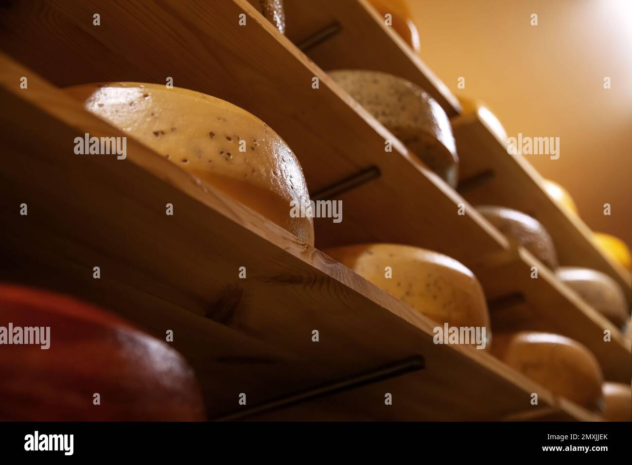 Fresh cheese heads on rack in factory warehouse Stock Photo - Alamy