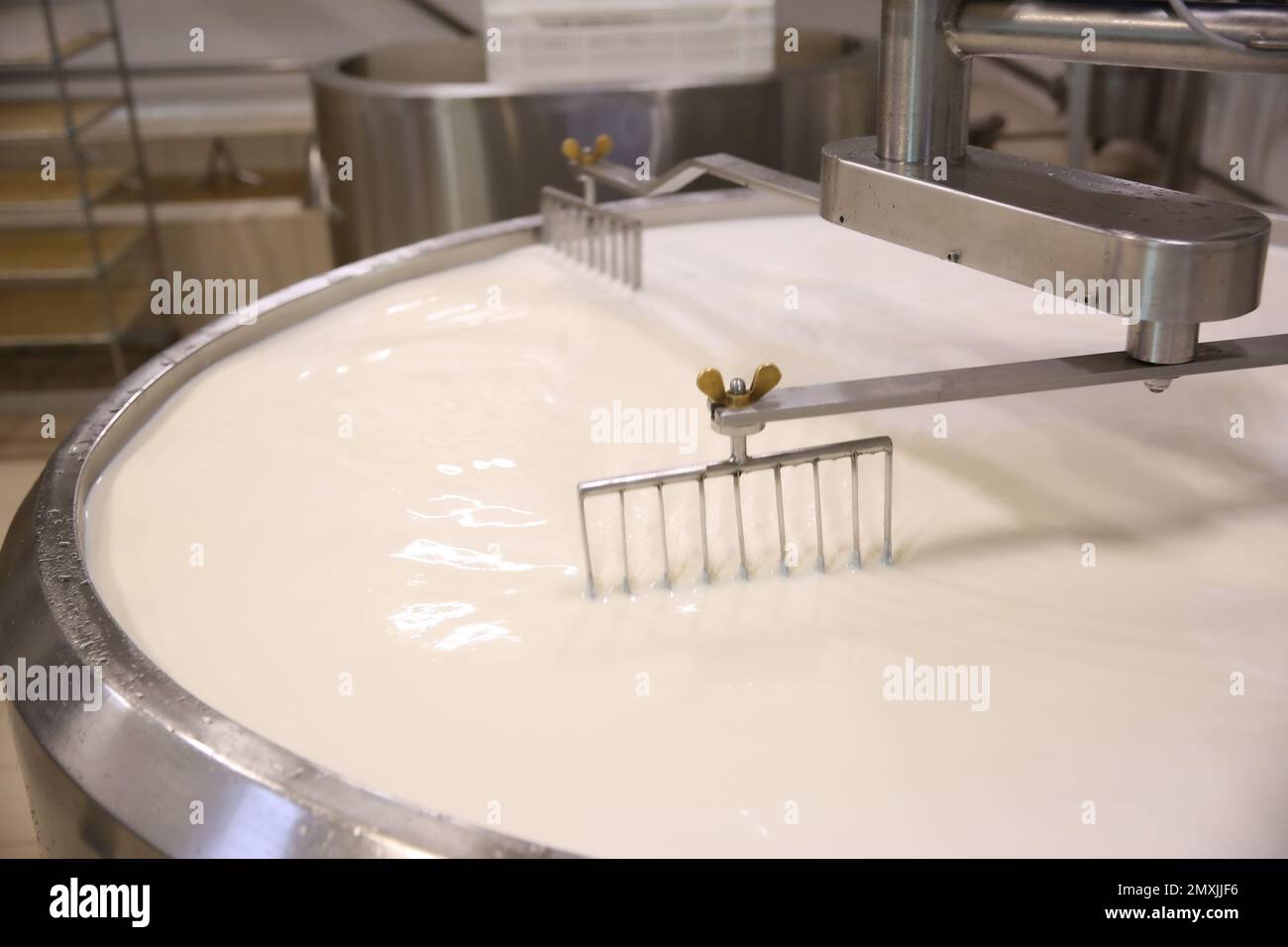 Milk in curd preparation tank at cheese factory Stock Photo - Alamy
