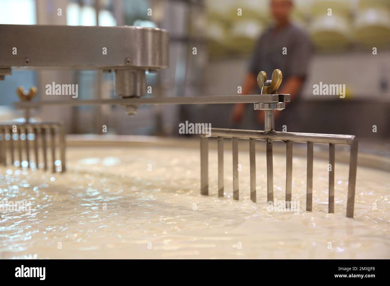 Curd and whey in tank at cheese factory, closeup Stock Photo - Alamy