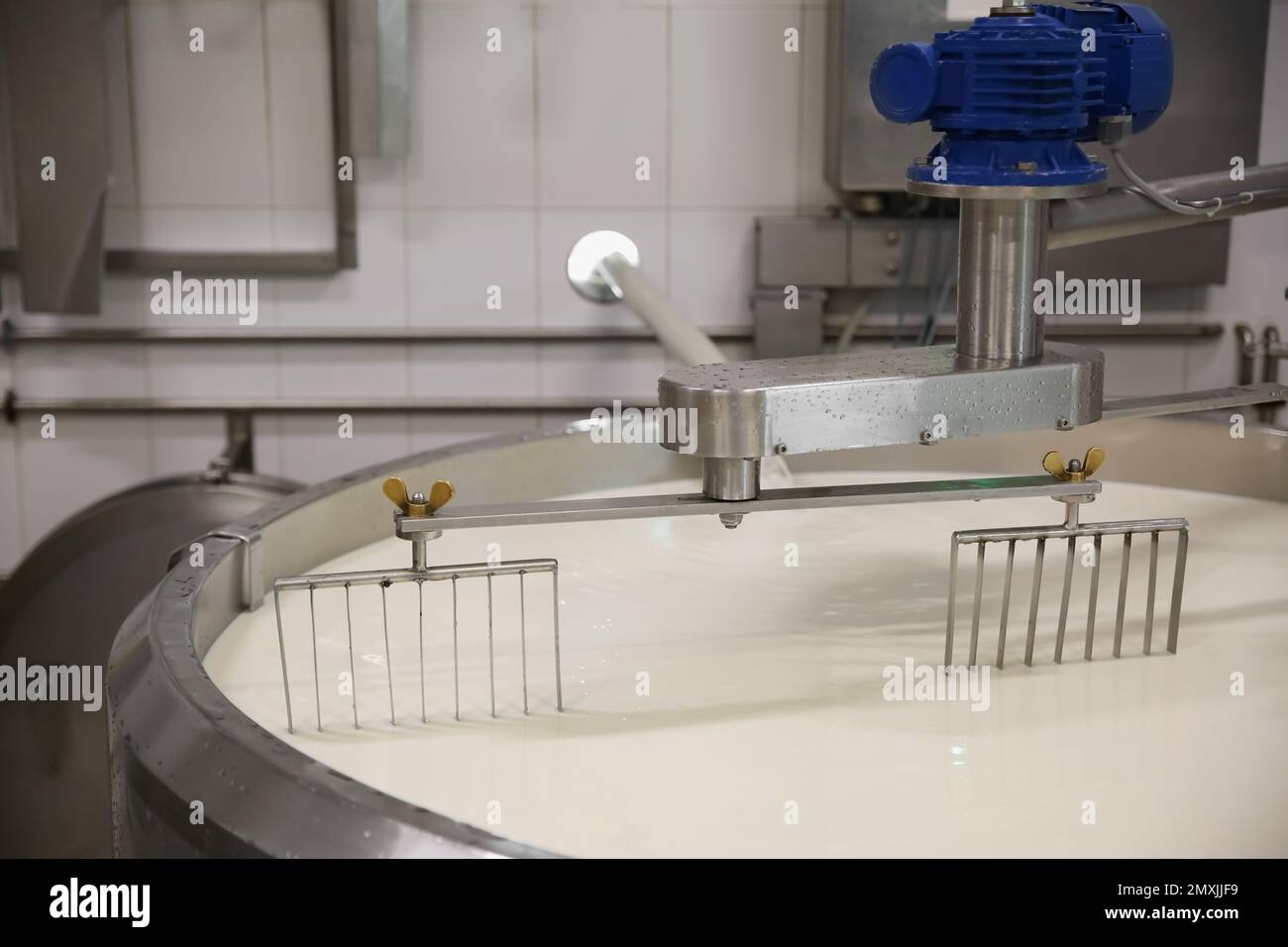 Milk in curd preparation tank at cheese factory Stock Photo - Alamy