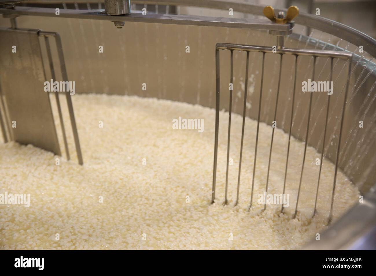 Adding water to curd and whey in tank at cheese factory Stock Photo - Alamy