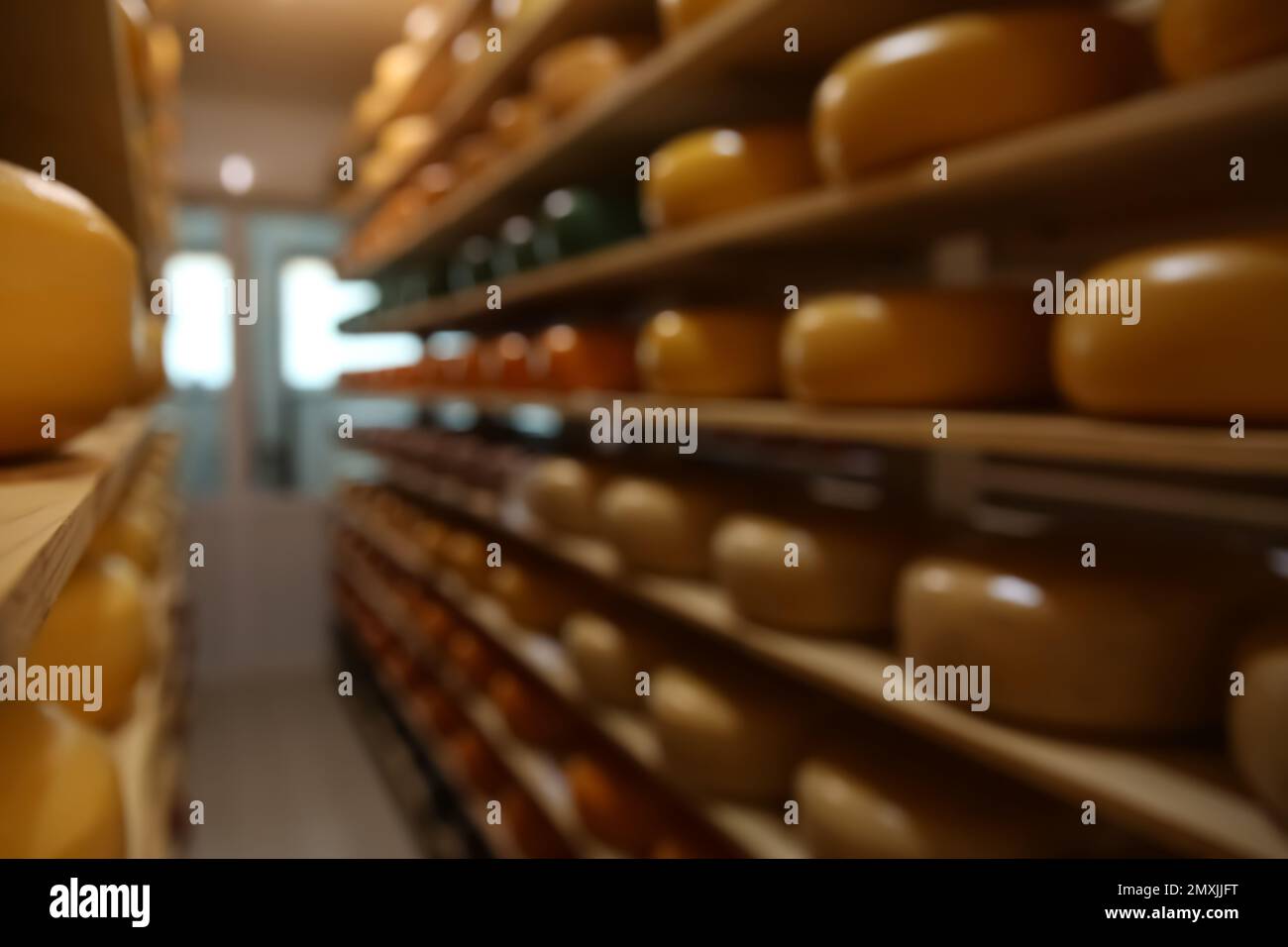 Blurred view of factory warehouse with fresh cheese heads on racks ...