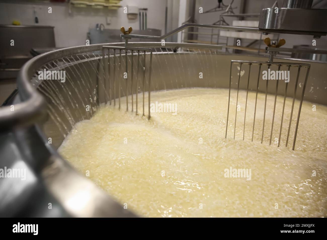 Adding water to curd and whey in tank at cheese factory Stock Photo - Alamy