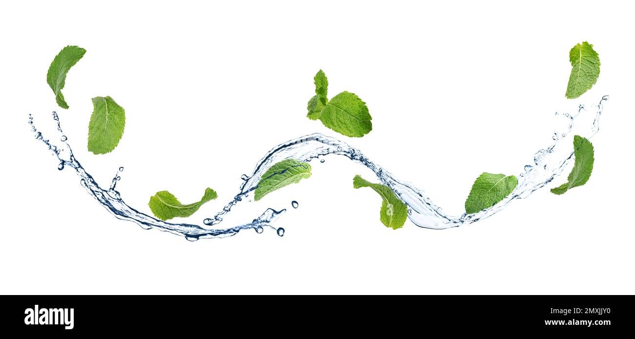 Set of flying green mint leaves with splash of water on white ...