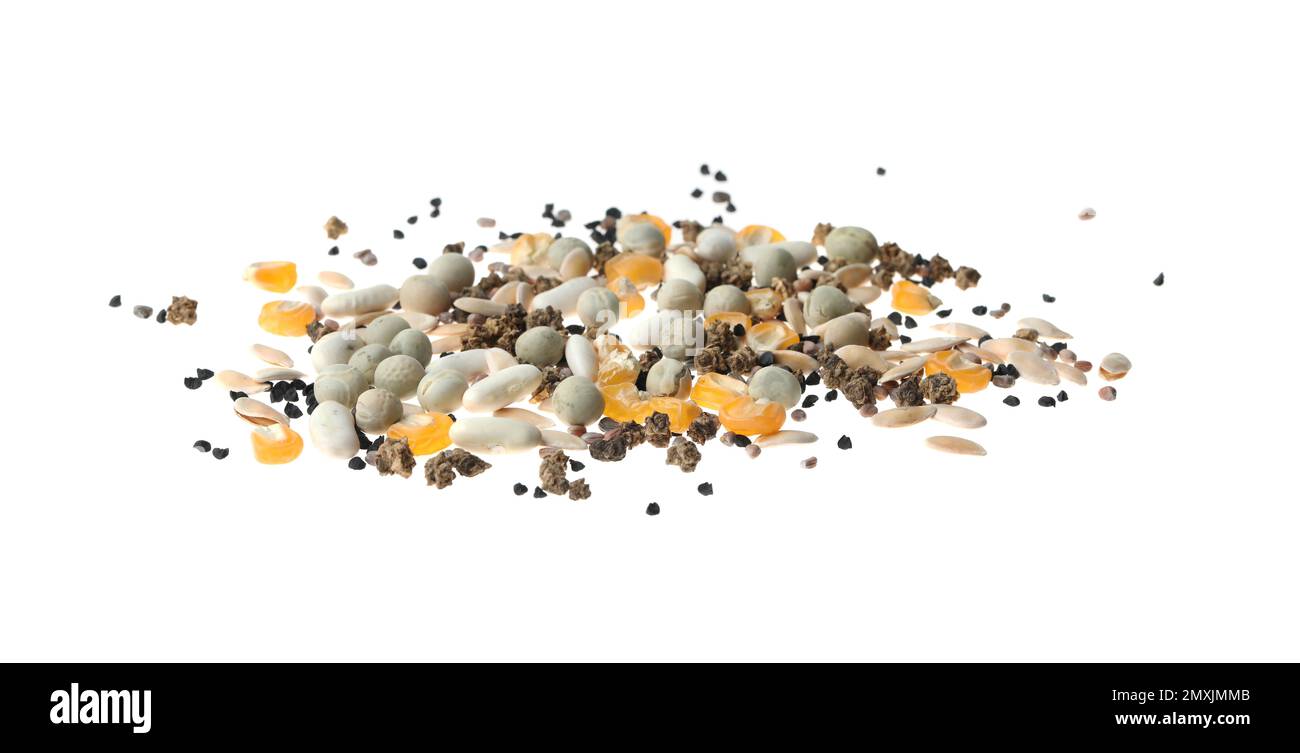 Mix of vegetable seeds on white background Stock Photo - Alamy