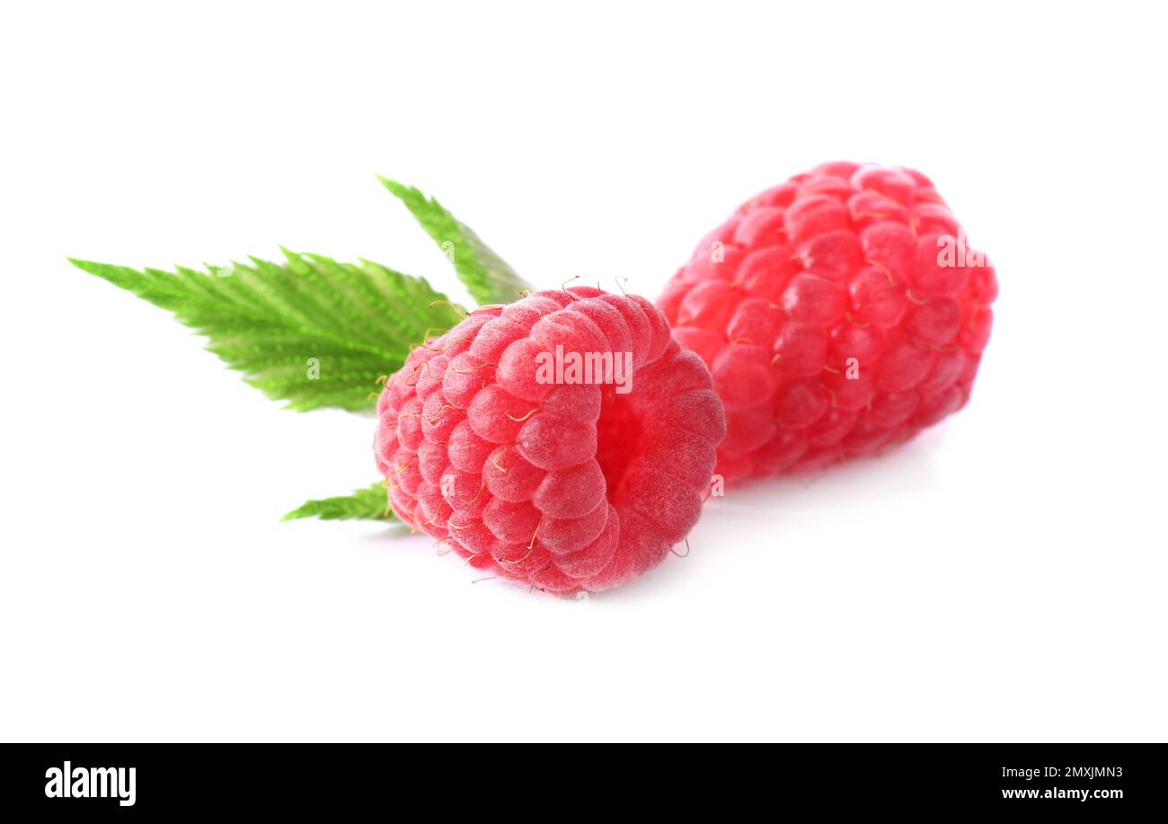 Fresh ripe raspberries with leaves isolated on white Stock Photo - Alamy