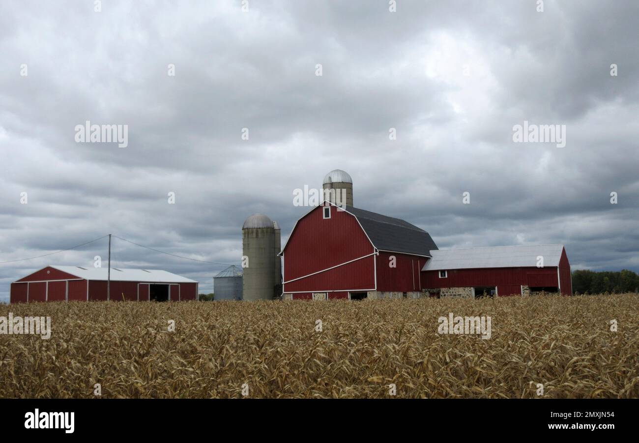 This Sept. 27, 2016 photo shows silos on farmland in Wisconsin in the ...