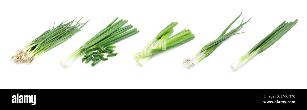 Collage with green spring onions on white background. Banner design ...