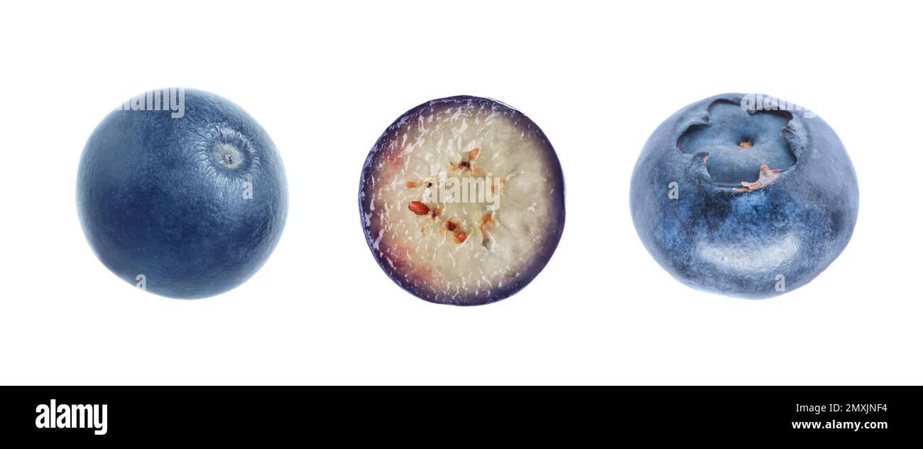 Set of fresh whole and cut blueberries on white background, banner ...