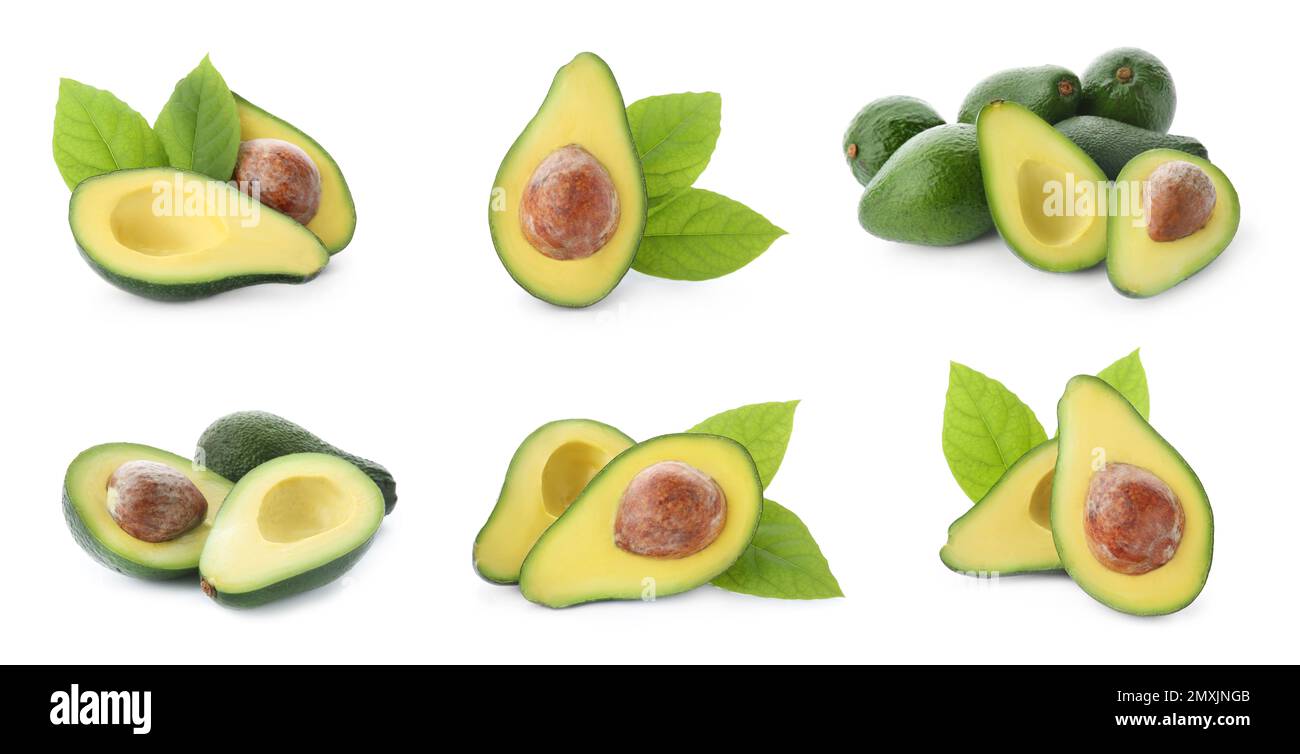 Set of cut and whole avocados on white background, banner design Stock ...