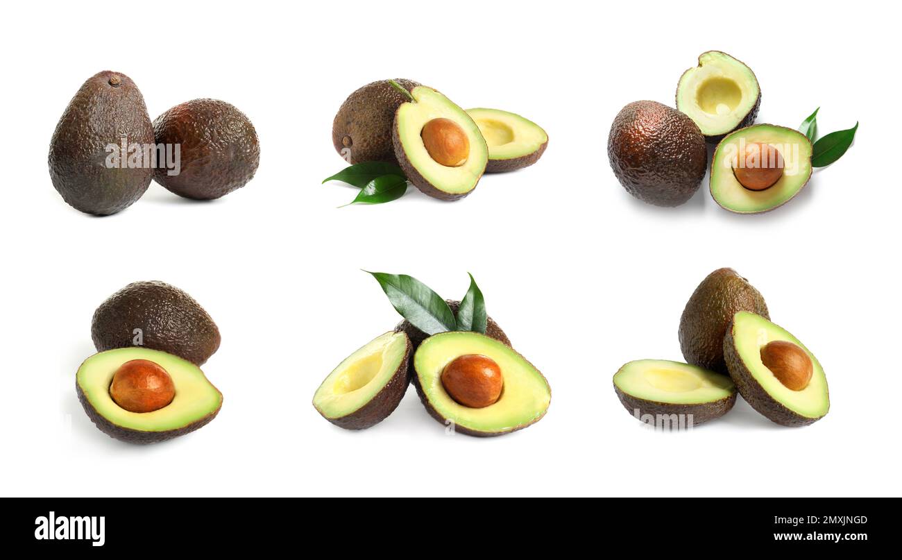 Set of cut and whole avocados on white background, banner design Stock ...