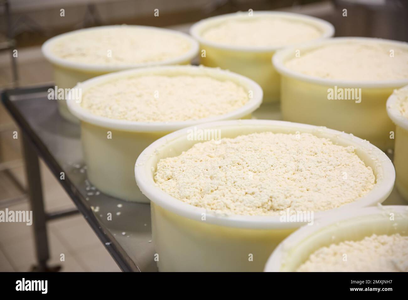 Moulds with pressed curd on table at cheese factory, closeup Stock ...