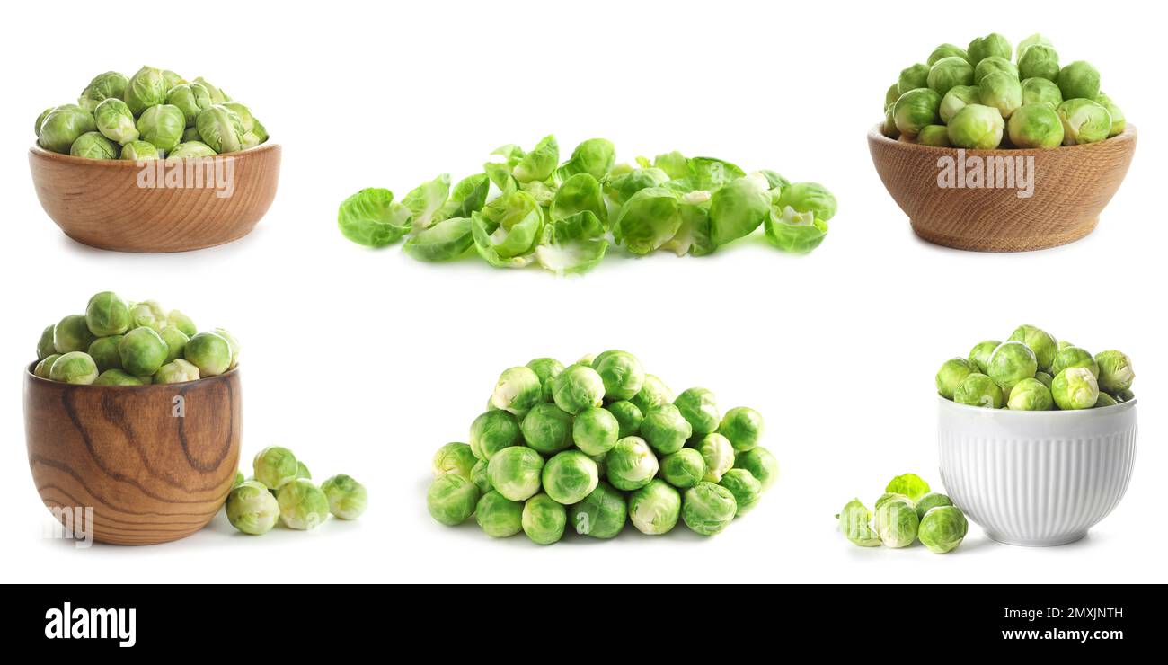 Set of fresh Brussels sprouts on white background. Banner design Stock ...