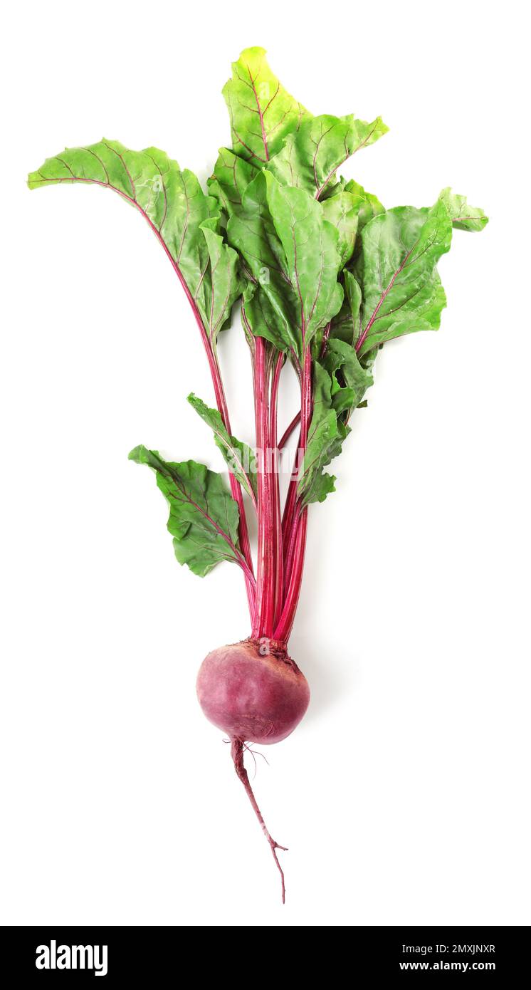 Raw ripe beet with leaves isolated on white Stock Photo - Alamy