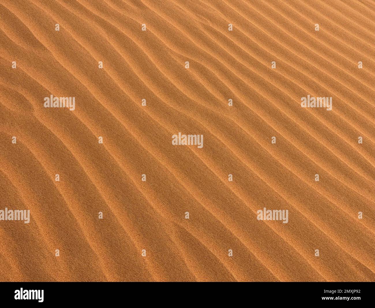 A closeup shot a wavy brownish sand texture, backgrounds and wallpapers ...