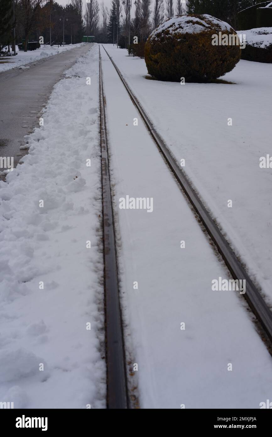 Railroad tracks covered with snow in cold winter with near pine trees ...