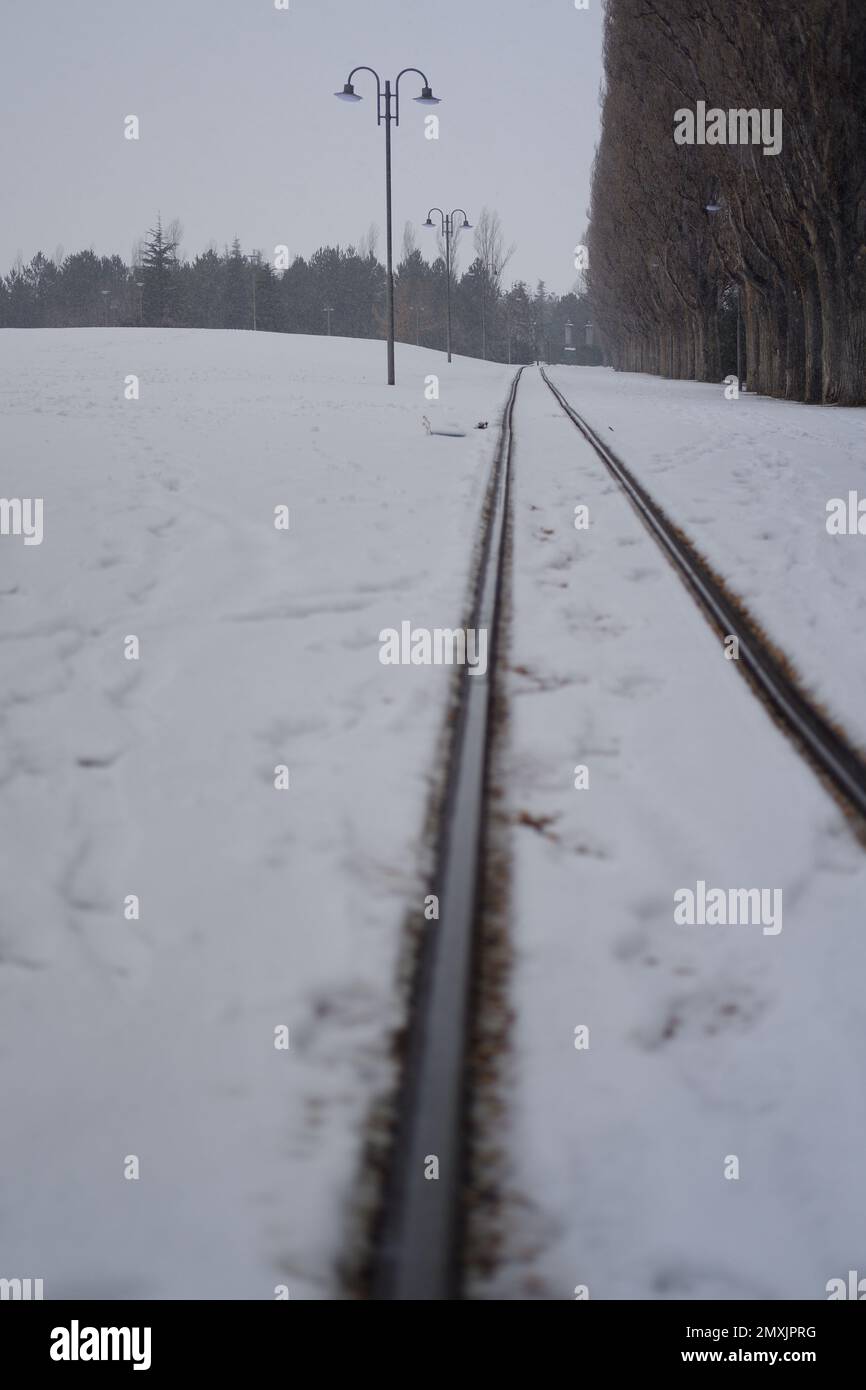 Railroad tracks covered with snow in cold winter with near pine trees ...