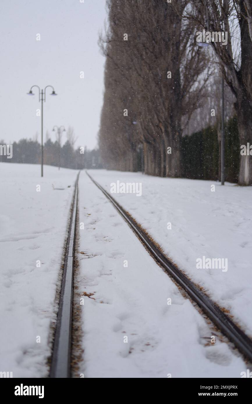 Railroad tracks covered with snow in cold winter with near pine trees ...