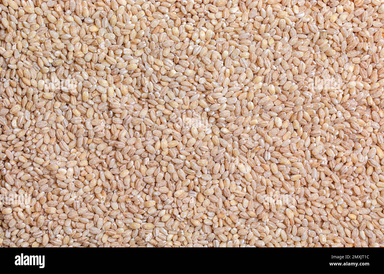 Pearl barley background close-up, top view. Pearl barley closeup, grain ...