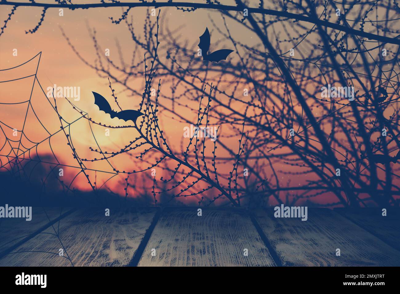 Wooden surface and bats flying in sky with full moon, toned. Halloween ...