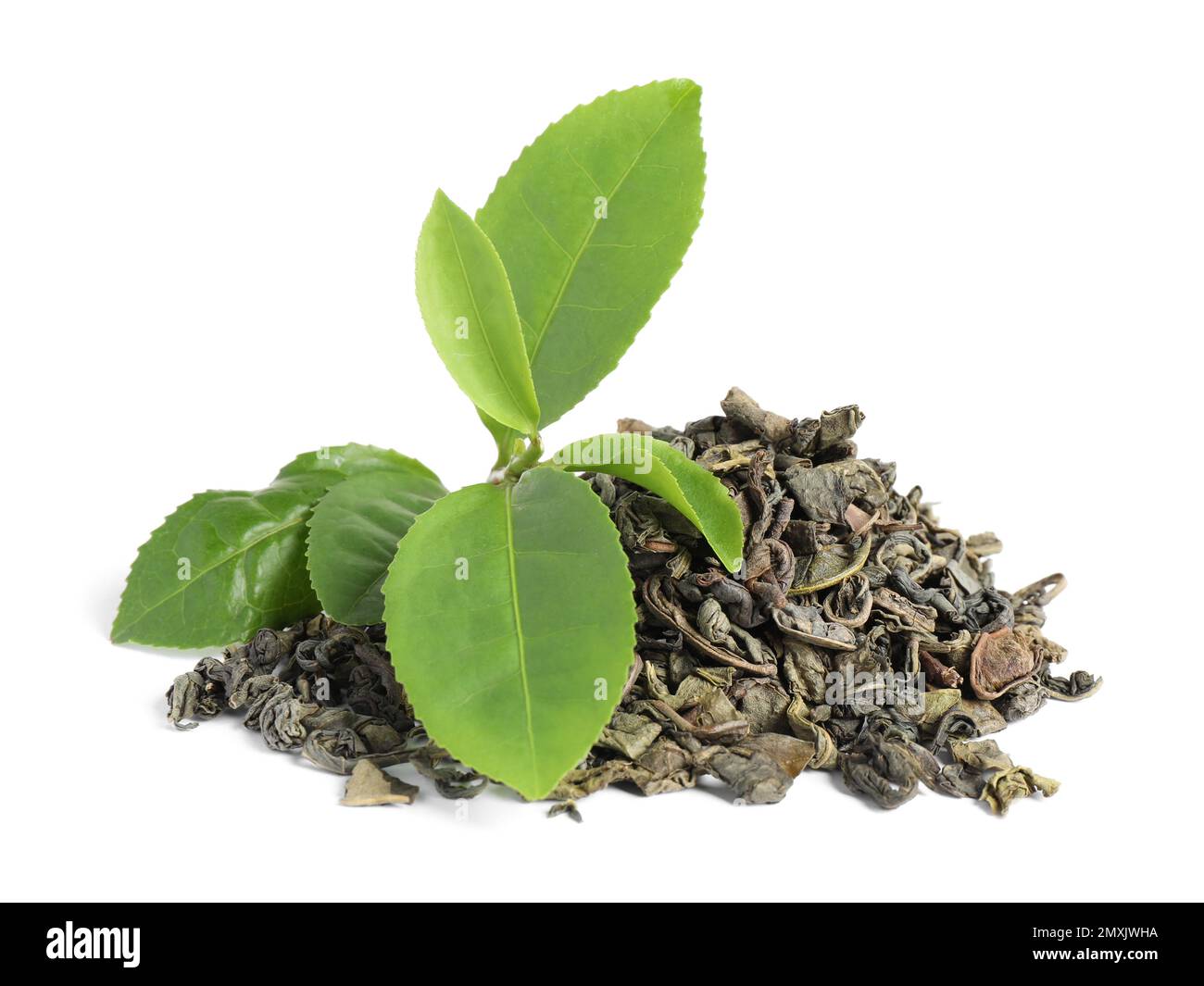 Dry and fresh tea leaves isolated on white Stock Photo - Alamy