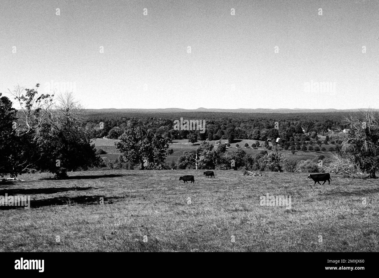 Gibbet Hill Groton History at Robert Parsley blog