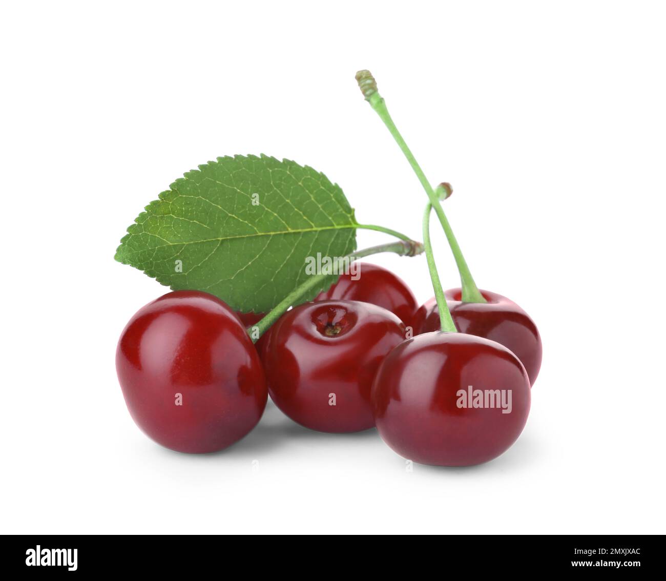Sweet red juicy cherries isolated on white Stock Photo - Alamy