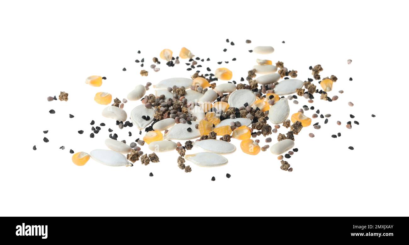Mix of vegetable seeds on white background Stock Photo - Alamy