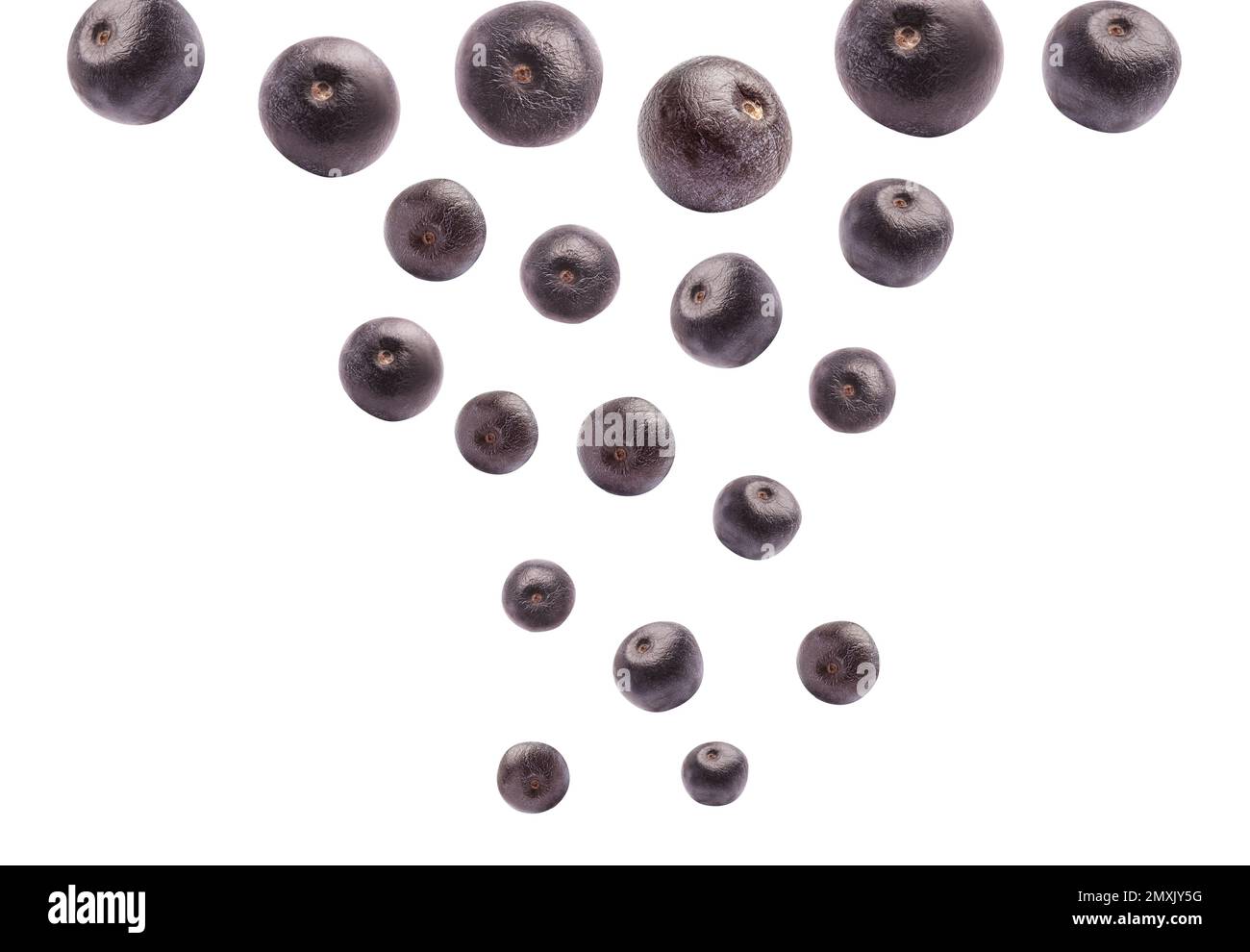 Fresh acai berries falling on white background Stock Photo - Alamy