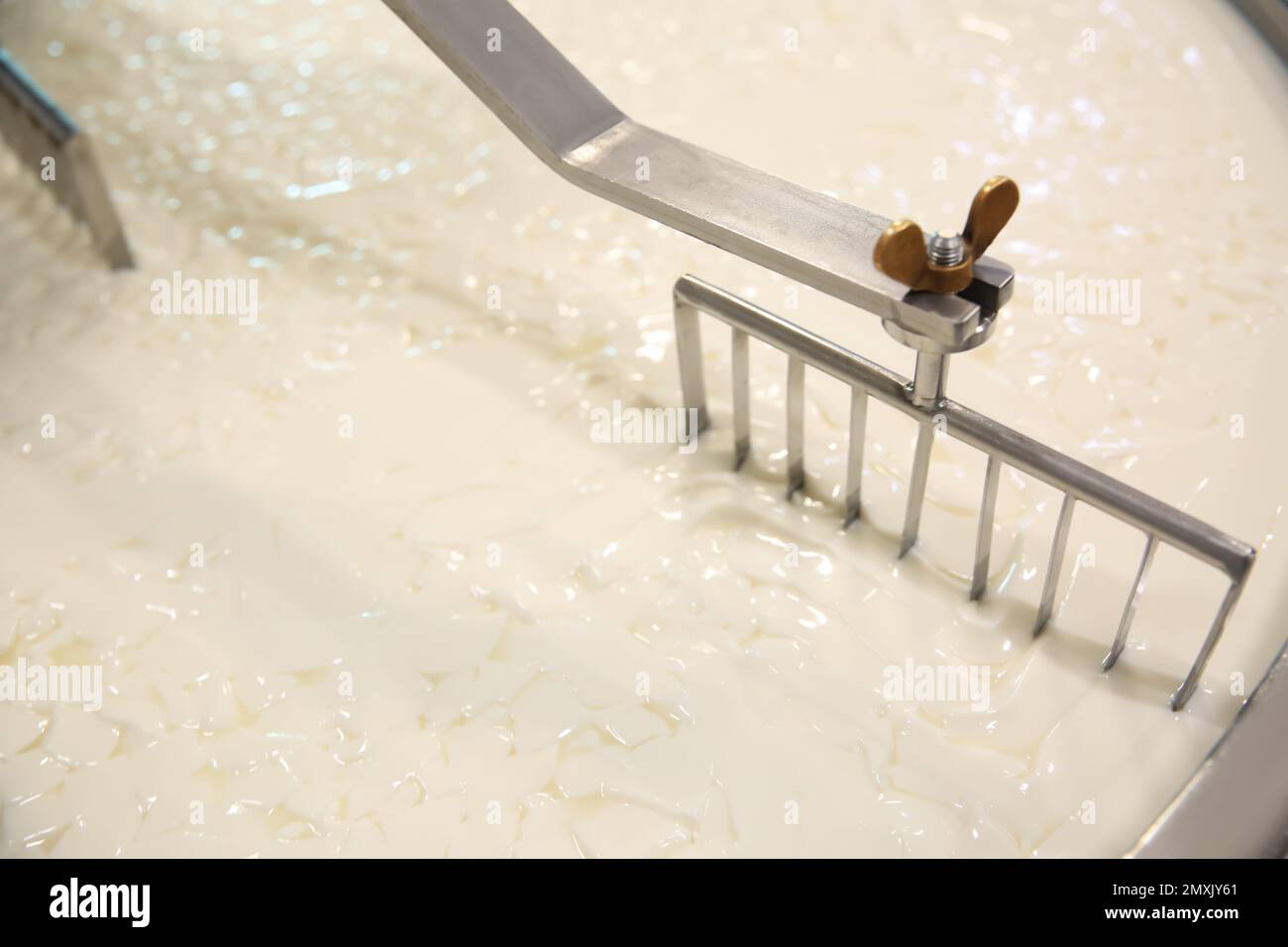 Curd and whey in tank at cheese factory, closeup Stock Photo - Alamy