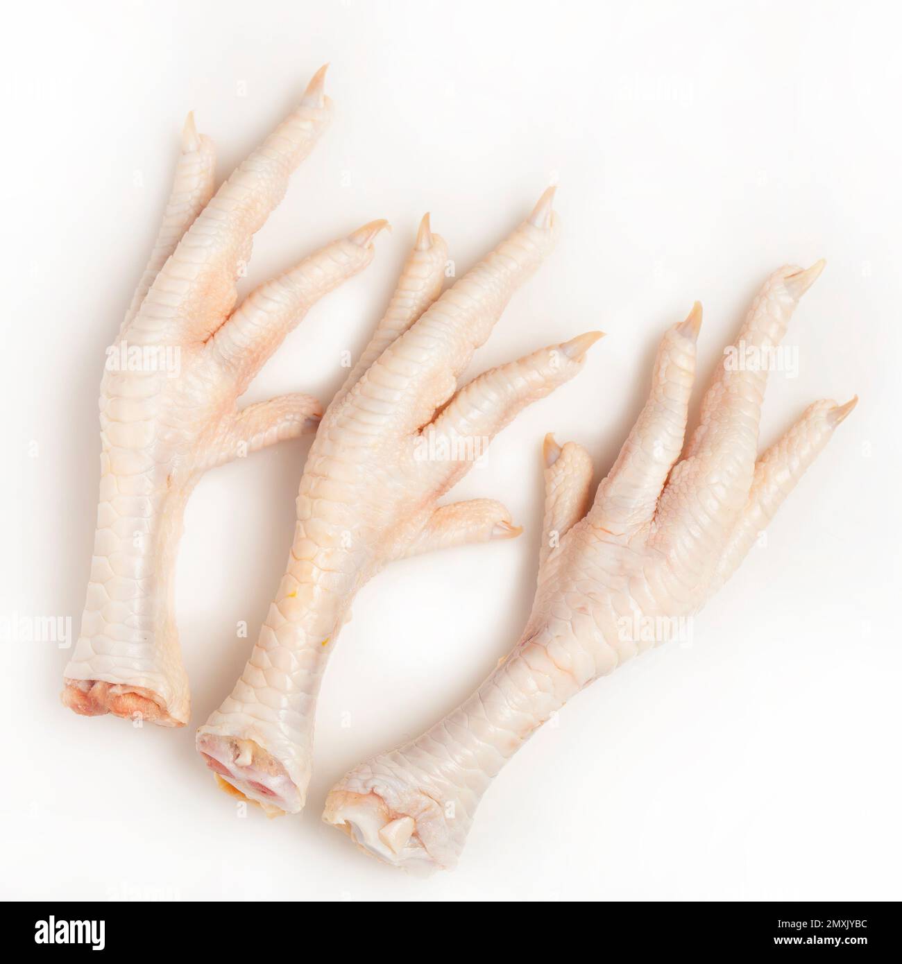 Chicken feet on white background, space for text Stock Photo - Alamy