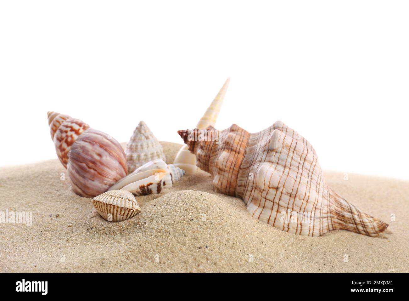 Beautiful exotic sea shells and sand on white background Stock Photo ...