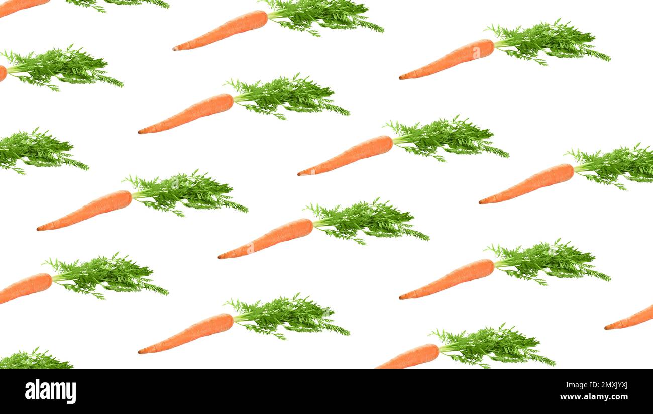 Whole carrots on white background, banner. Pattern design Stock Photo ...