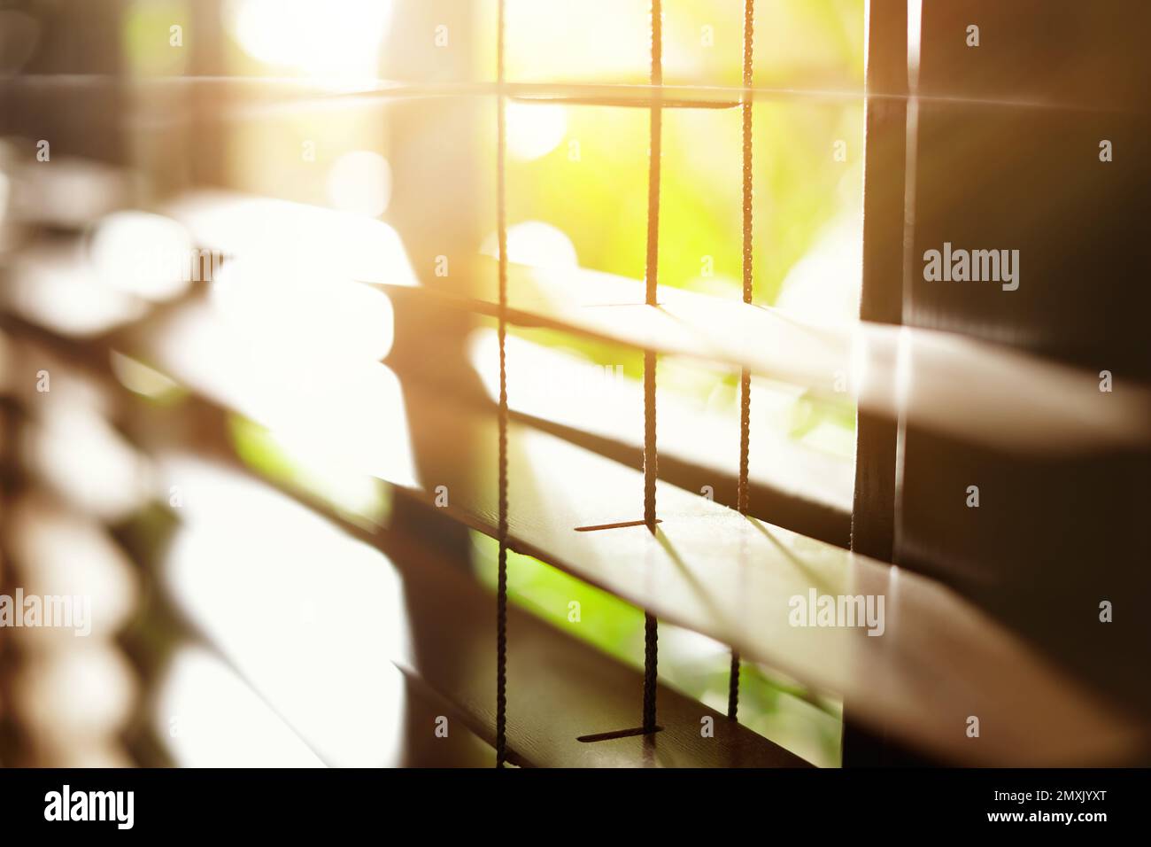 Sun sunlit sunny window light hi-res stock photography and images - Alamy