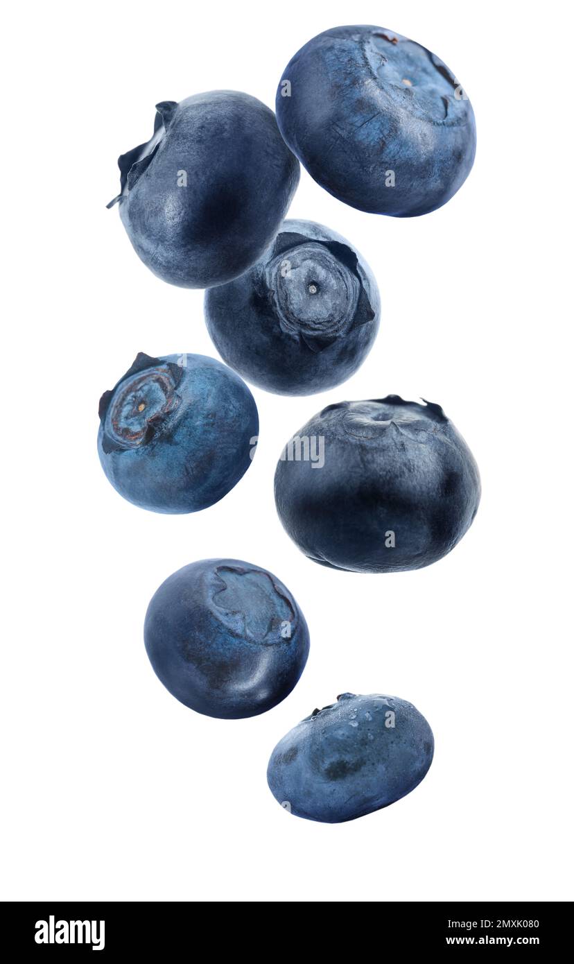 Many fresh ripe blueberries falling on white background Stock Photo - Alamy