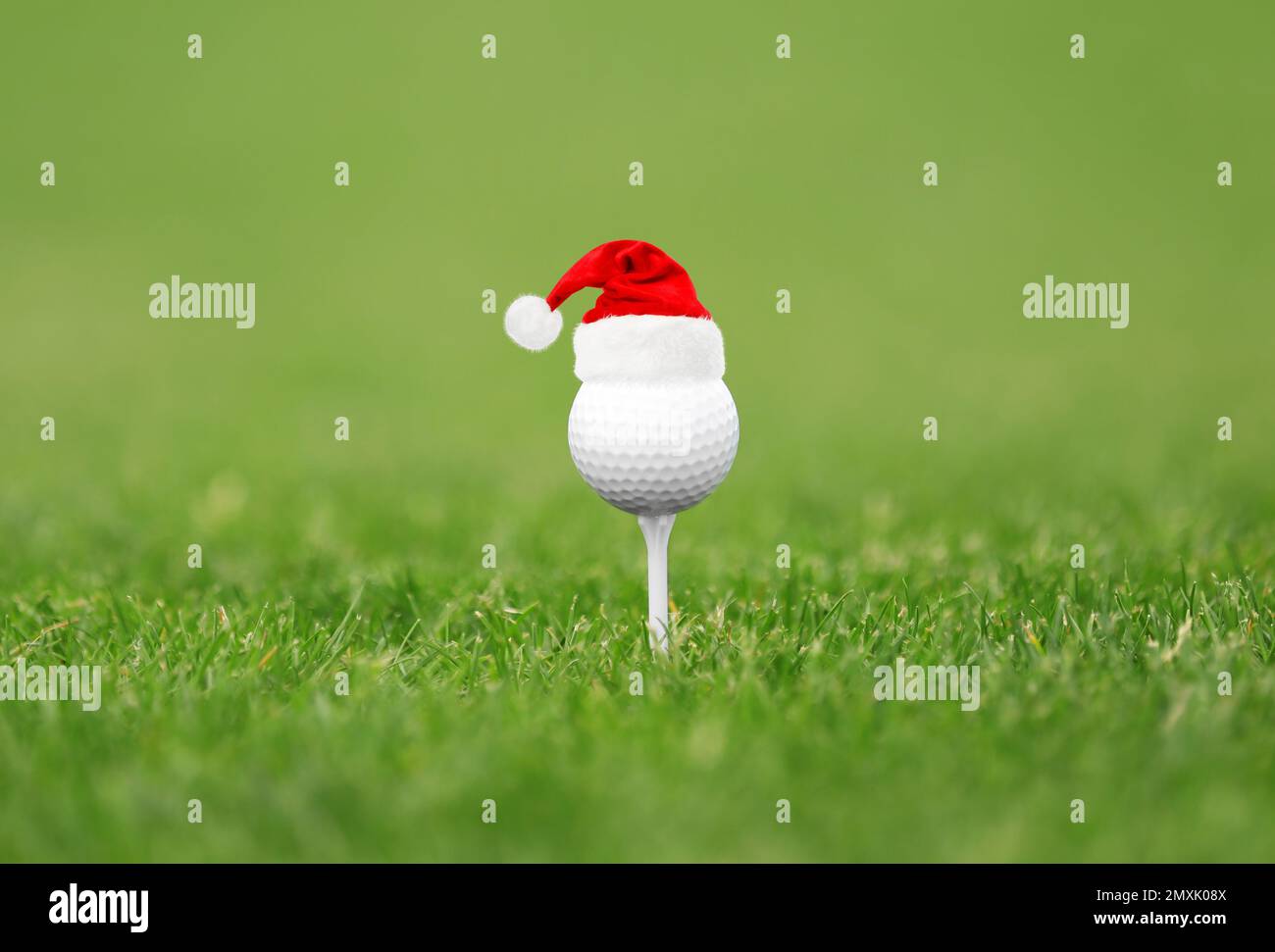 Small tee hi-res stock photography and images - Alamy