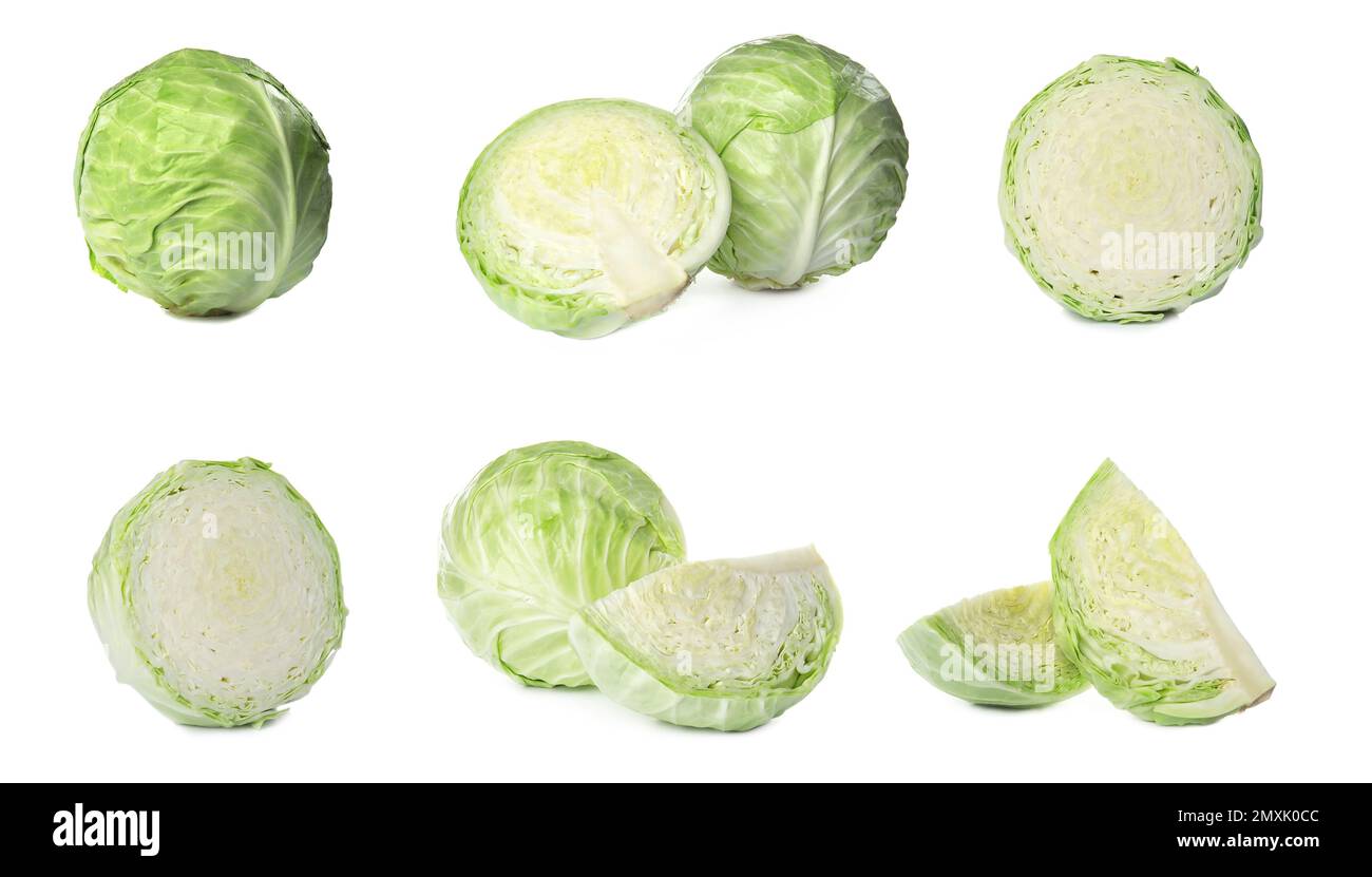 Set of fresh ripe cabbages isolated on white background Stock Photo - Alamy