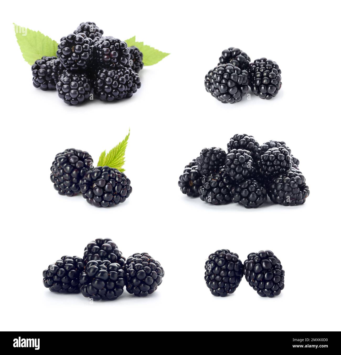 Set of ripe blackberries on white background Stock Photo - Alamy