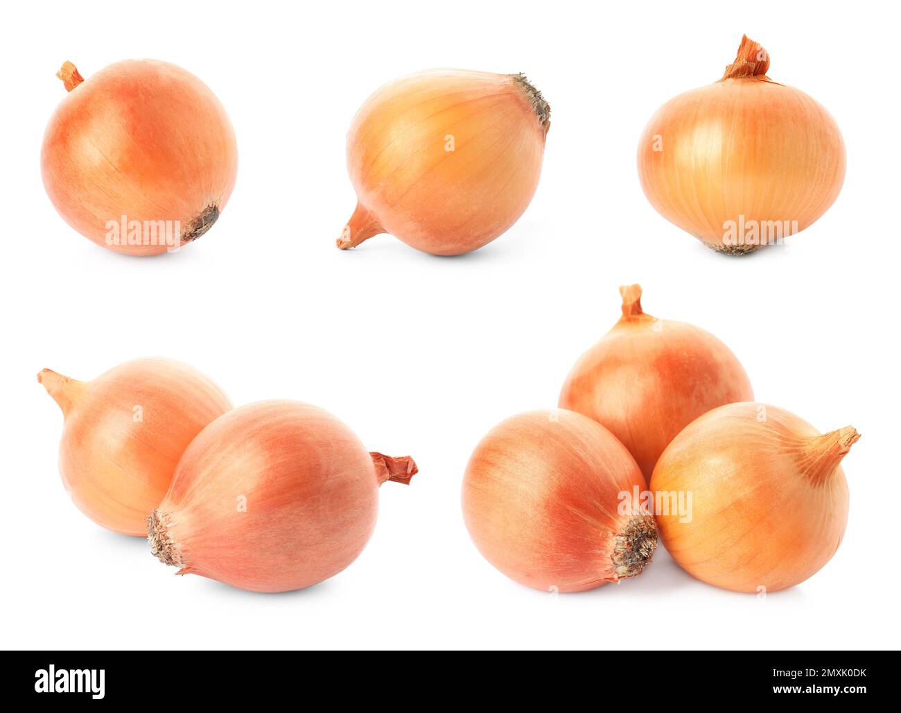 Set of yellow onion bulbs on white background Stock Photo - Alamy