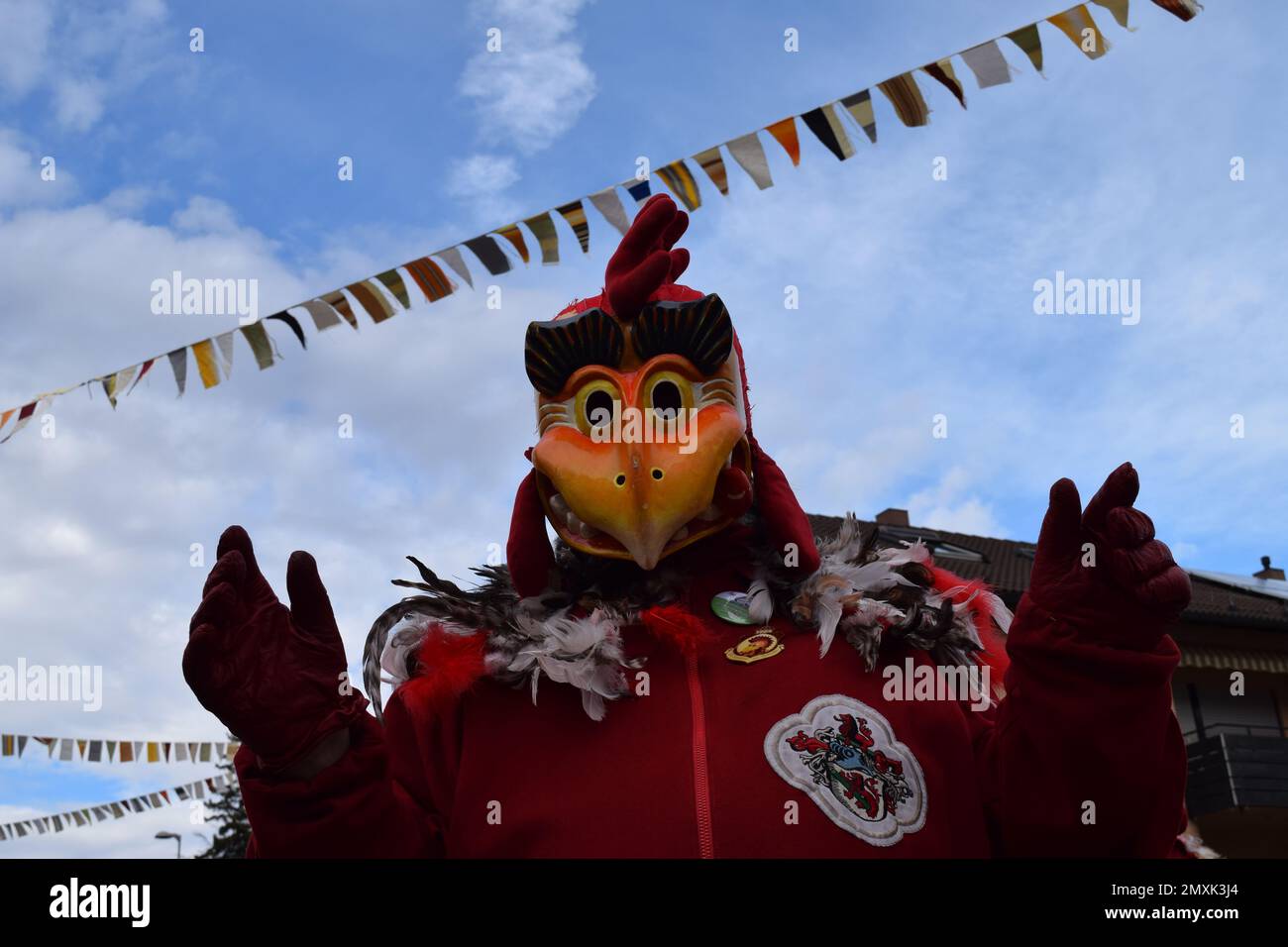 A person dressed in a festive costume celebrating the Fasching carnival ...