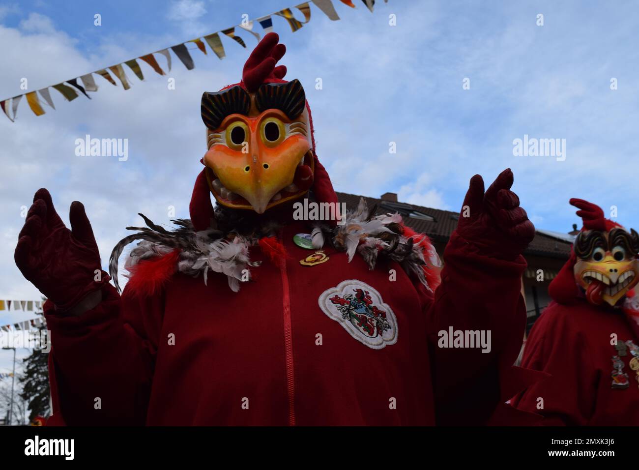 A person dressed in a festive costume celebrating the Fasching carnival ...