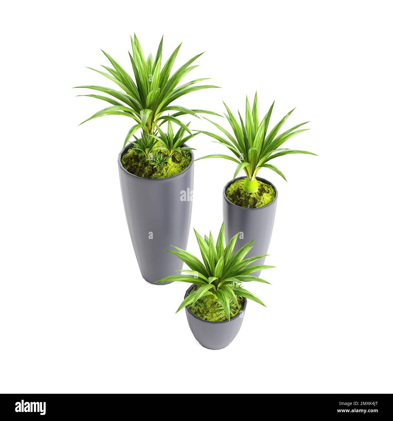 Rendering plants hi-res stock photography and images - Alamy