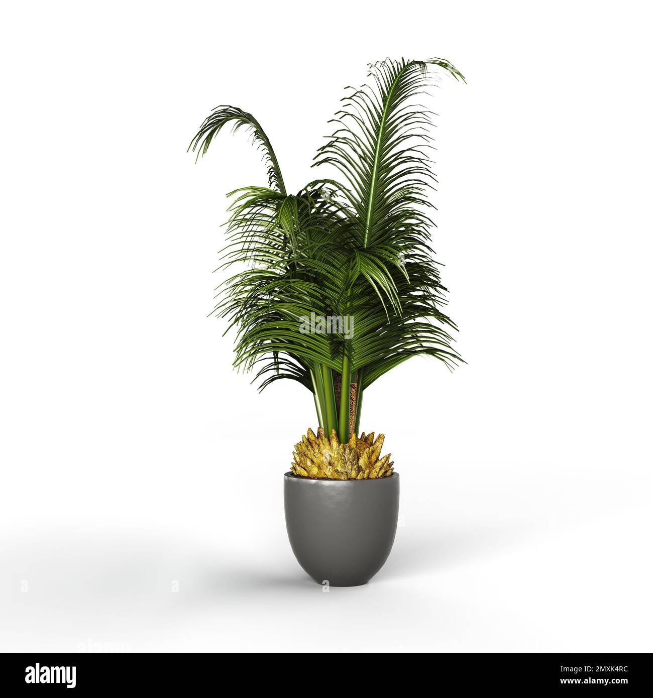 A 3D rendering of a tall green plant on a creamic pot on white ...