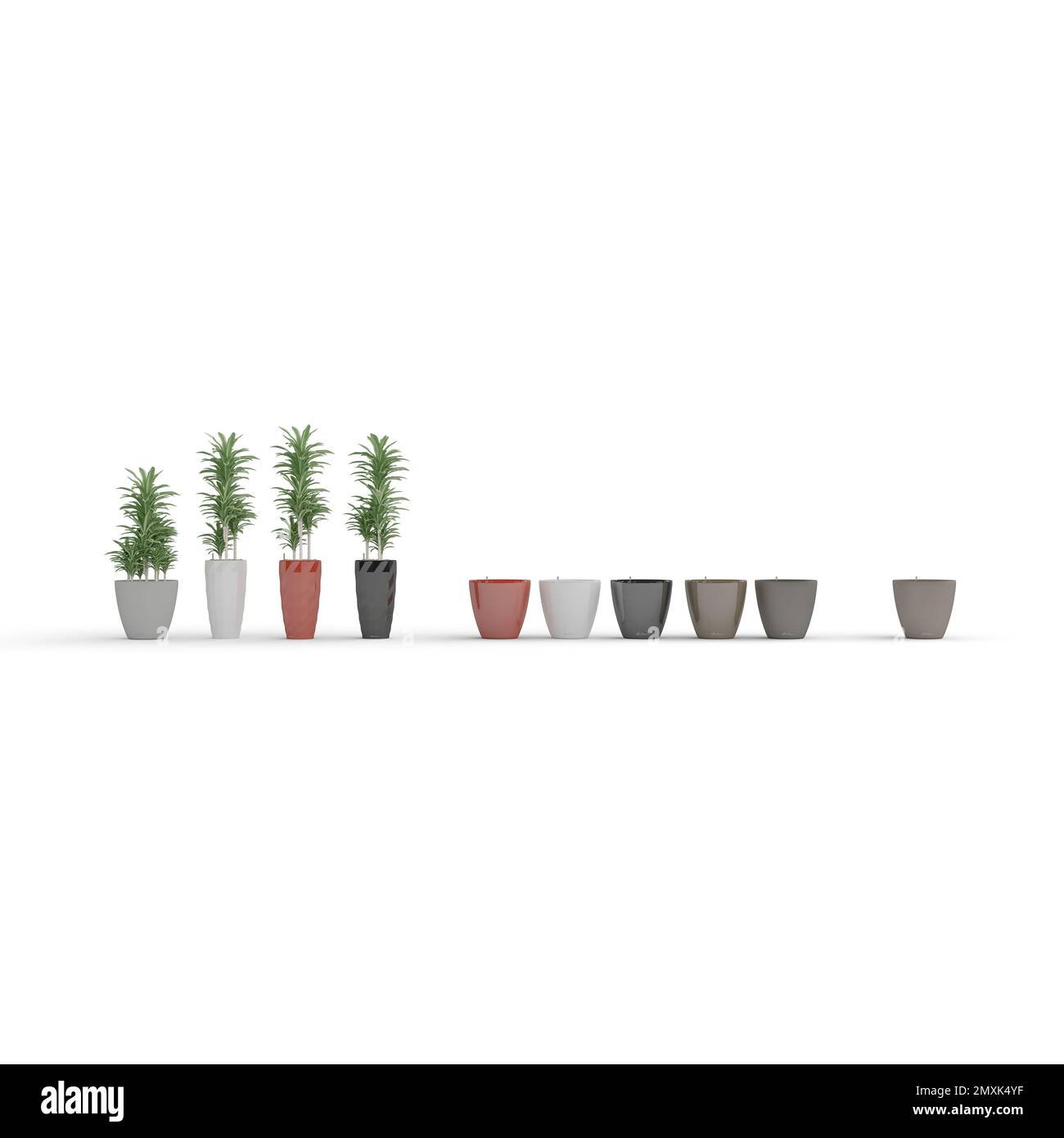 Rendering plants hi-res stock photography and images - Alamy