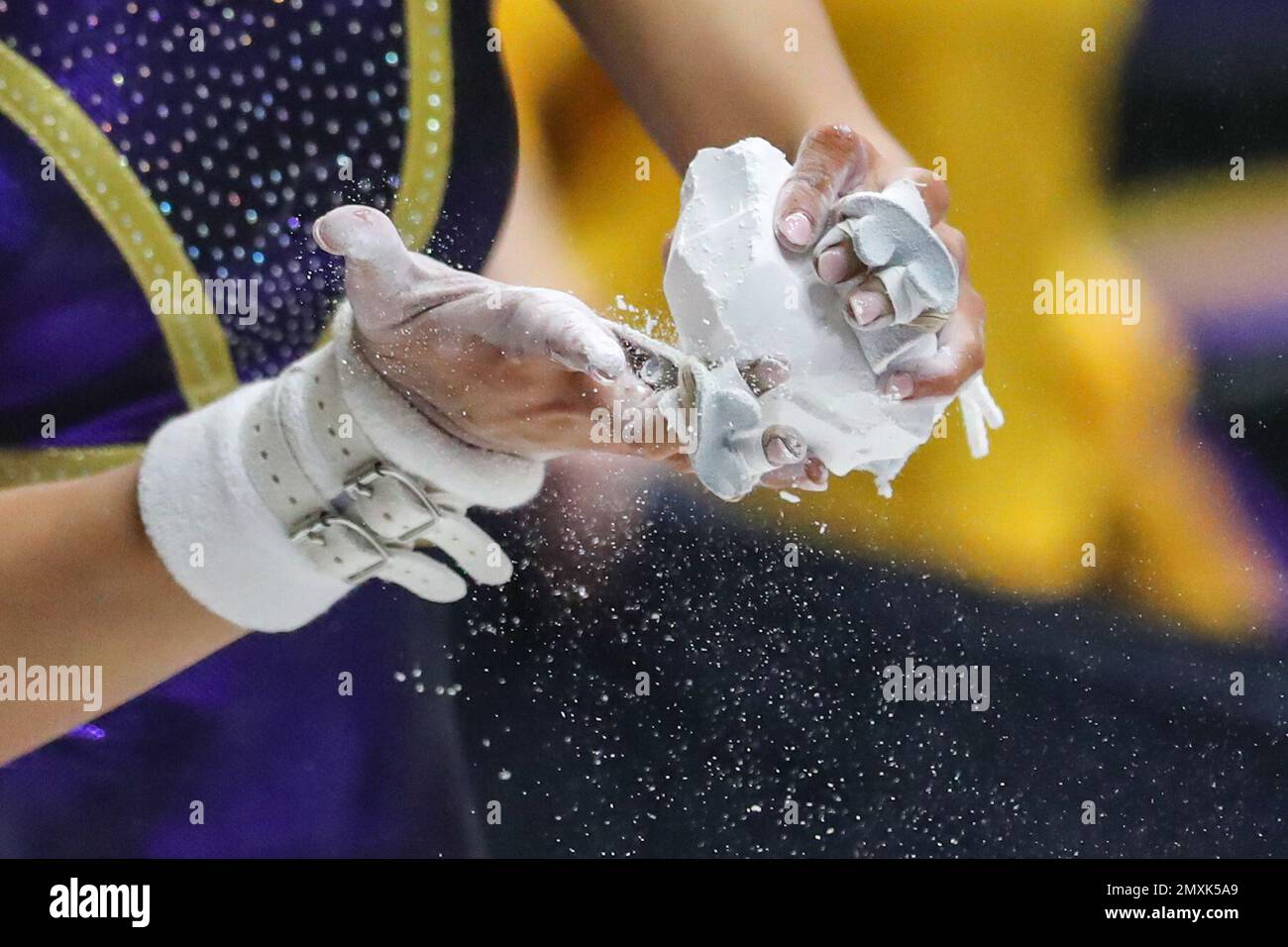 Baton Rouge, LA, USA. 3rd Feb, 2023. LSU's Olivia ''Livvy'' Dunne ...